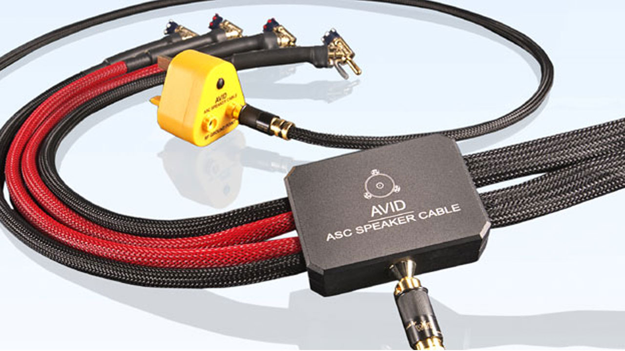 ASC Reference Earth Connection